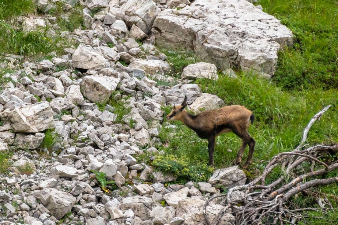 Allgäu - Wanderung zum Prinz-Luitpold-Haus und Schrecksee